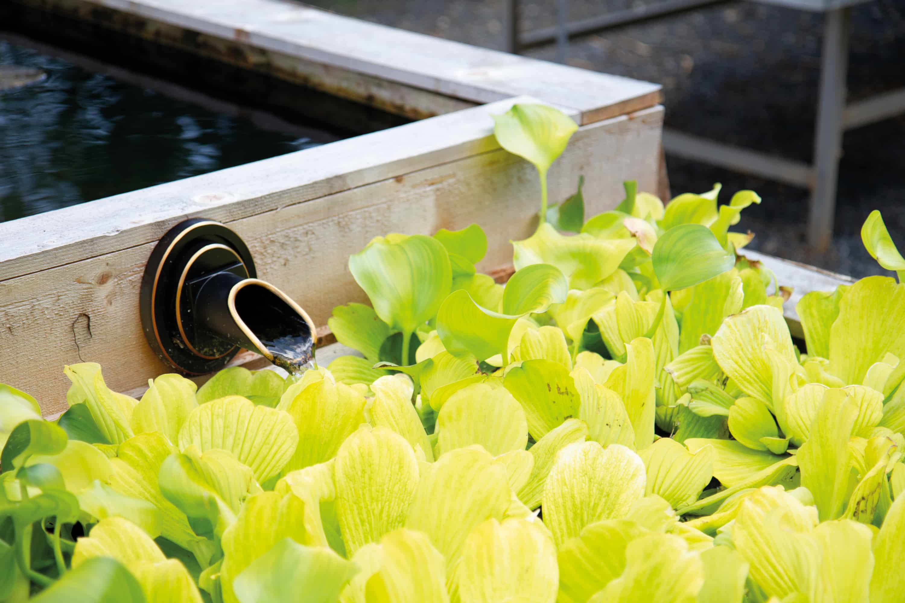 Wall Spout Circle, pronssi | Vesielämä
